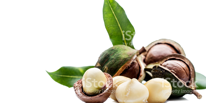 Valley-Macadamia-Pages-Home800x400 - Valley Macadamias Sales
