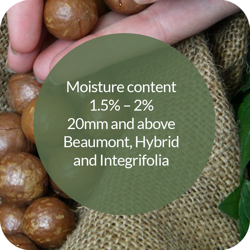 Valley-Macadamia-Sales_Products_01 - Valley Macadamias Sales